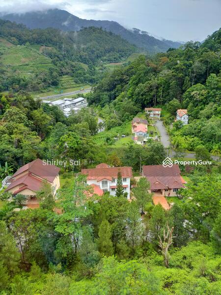 Genting Sempah, Rainforest Sanctuary-Taman Puncak Rimba, Rainforest ...